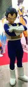 Vegeta | Costumed Characters Wiki | Fandom
