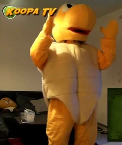 Koopa Troopa | Costumed Characters Wiki | Fandom