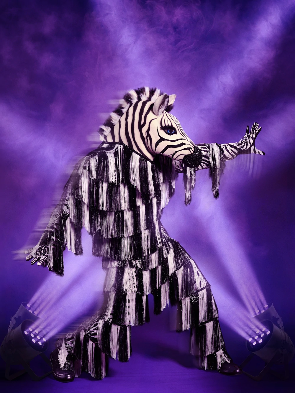 Zebra | Costumed Characters Wiki | Fandom