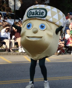 High School Mascot Of Acorn