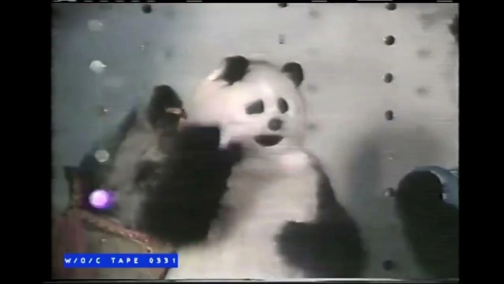 Pepi-Roni | Costumed Characters Wiki | Fandom