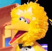Big Bird | Costumed Characters Wiki | Fandom