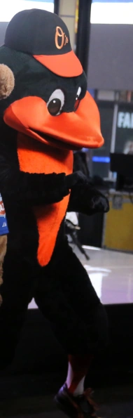 Oriole Bird | Costumed Characters Wiki | Fandom