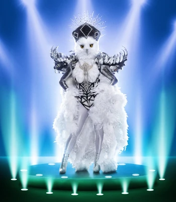 Night Owl | Costumed Characters Wiki | Fandom