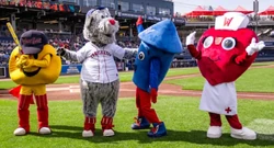 Woo Sox | Costumed Characters Wiki | Fandom