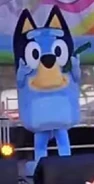 Bluey | Costumed Characters Wiki | Fandom