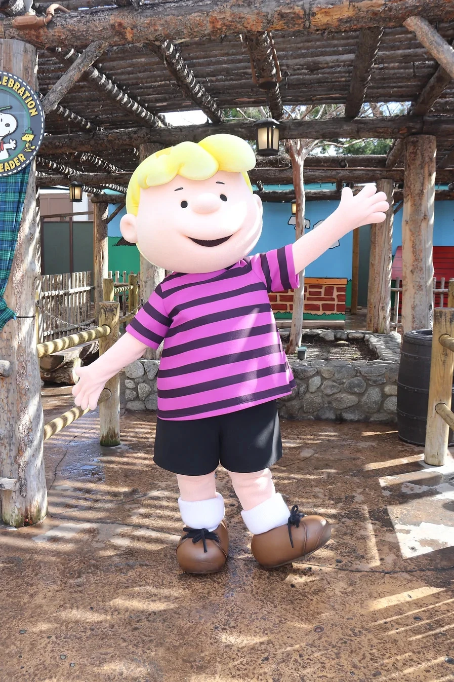 Schroeder | Costumed Characters Wiki | Fandom