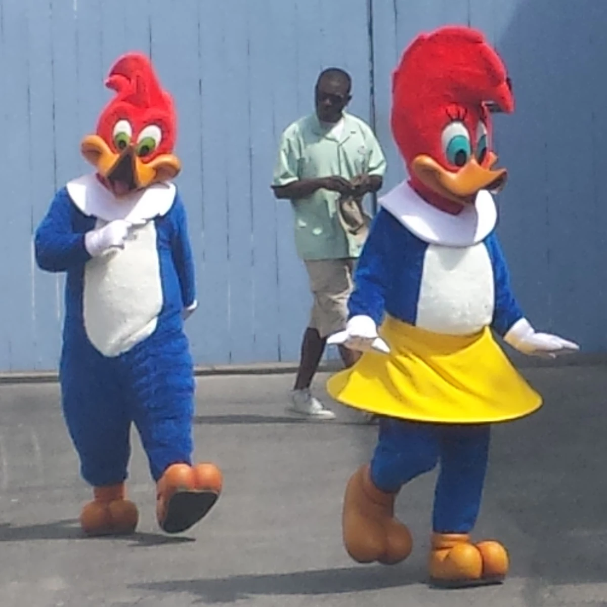 Woody Woodpecker | Costumed Characters Wiki | Fandom