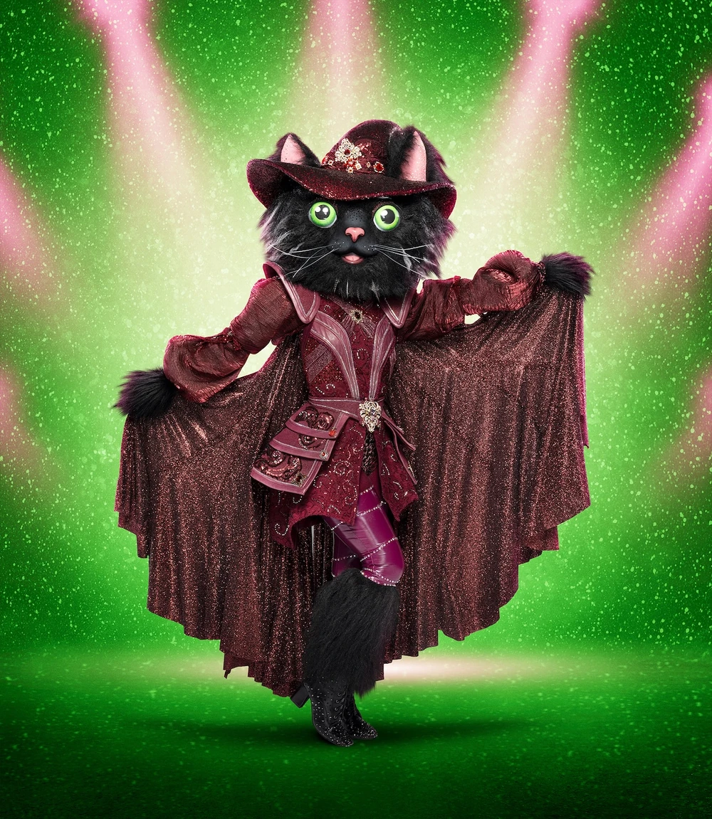 Cat Witch | Costumed Characters Wiki | Fandom