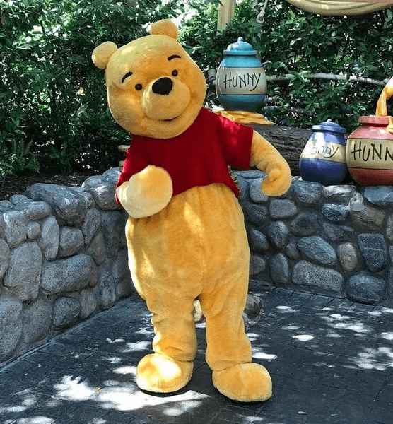 Pooh | Costumed Characters Wiki | Fandom