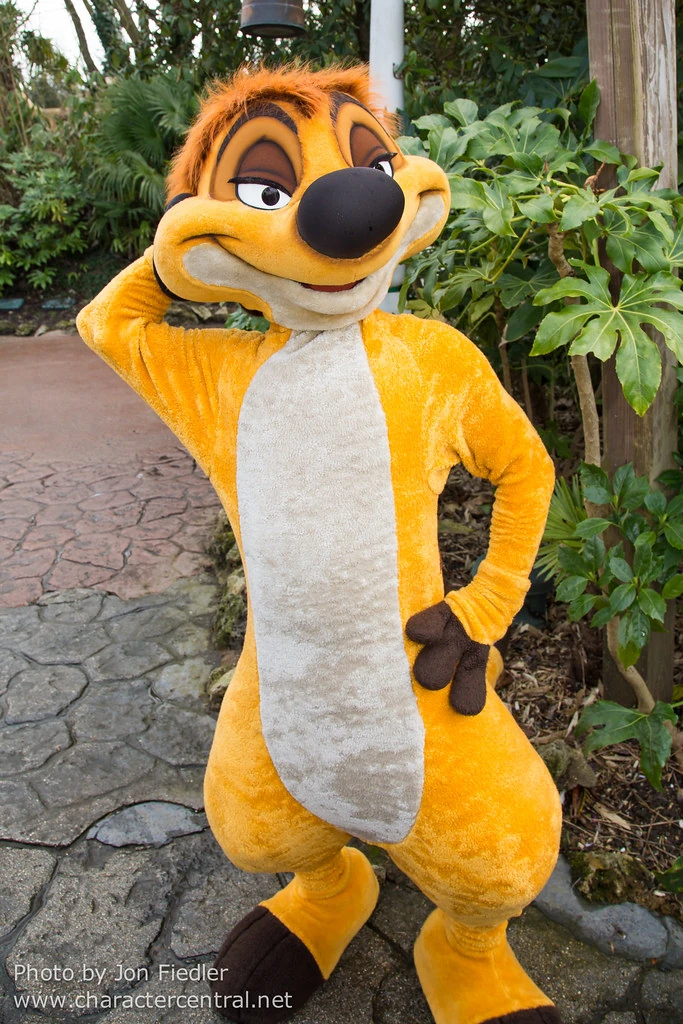 Timon | Costumed Characters Wiki | Fandom