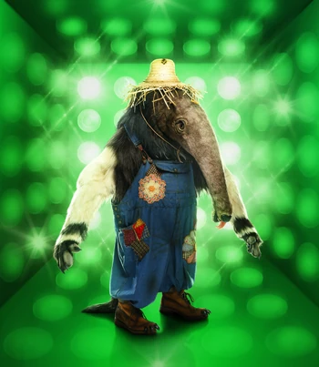 Anteater | Costumed Characters Wiki | Fandom