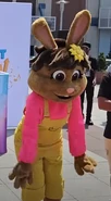 Bella Bunny | Costumed Characters Wiki | Fandom