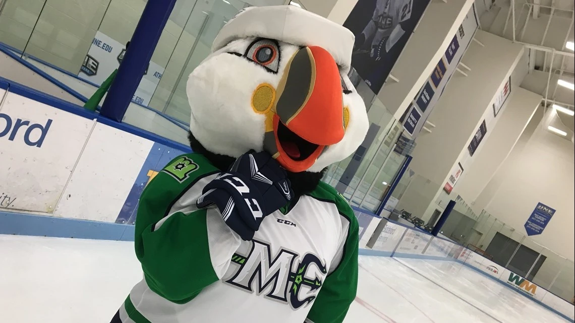 Beacon the Puffin | Costumed Characters Wiki | Fandom