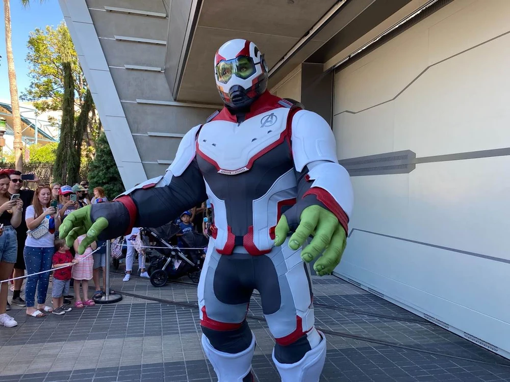 Hulk | Costumed Characters Wiki | Fandom