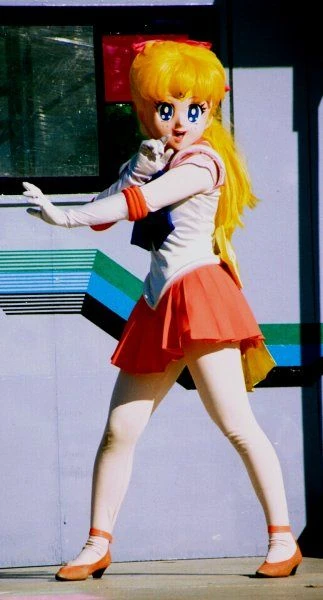 Minako Aino | Costumed Characters Wiki | Fandom