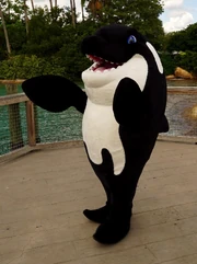 Shamu | Costumed Characters Wiki | Fandom