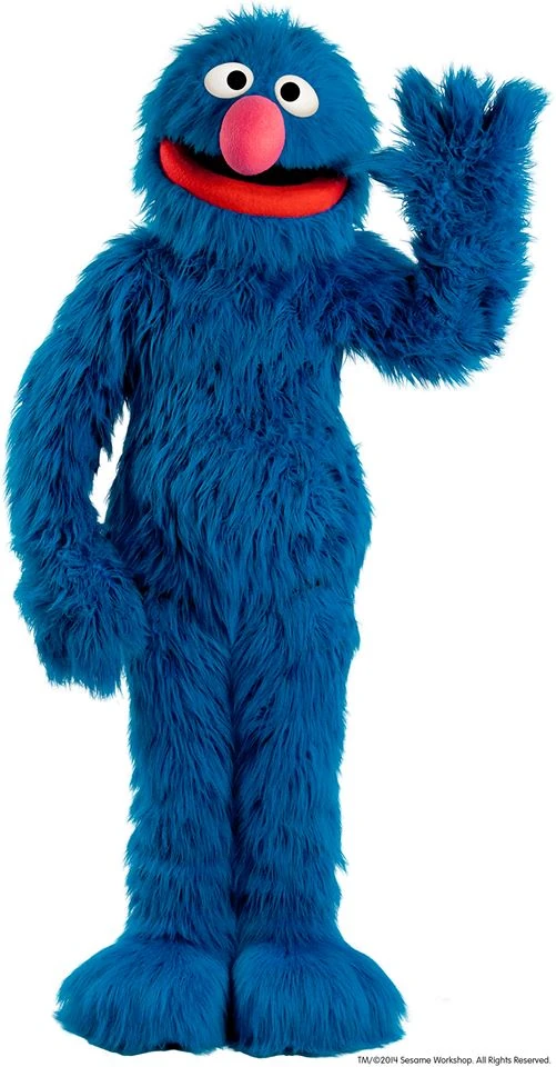 Grover | Costumed Characters Wiki | Fandom