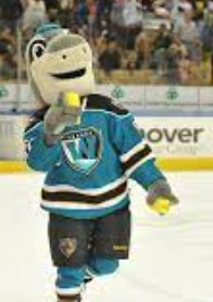 Finz the Shark | Costumed Characters Wiki | Fandom