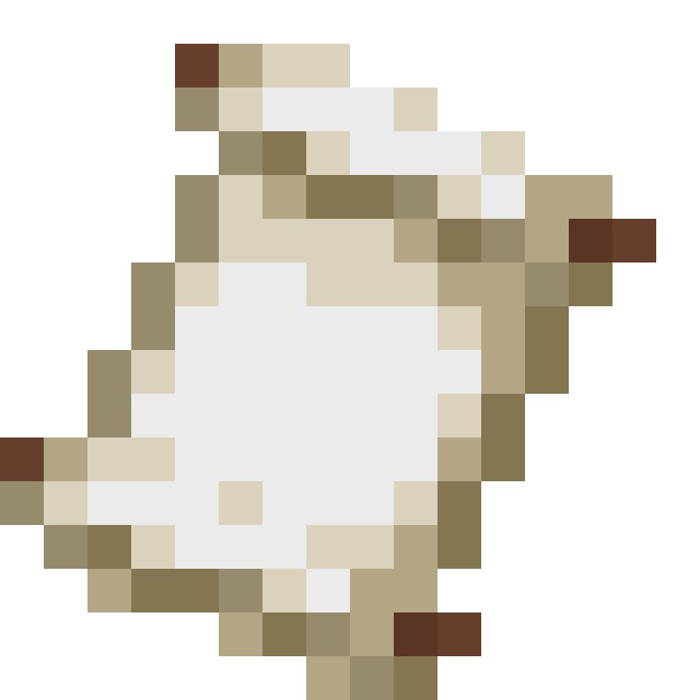 Duel Declaration | CoTG SMP Wiki | Fandom