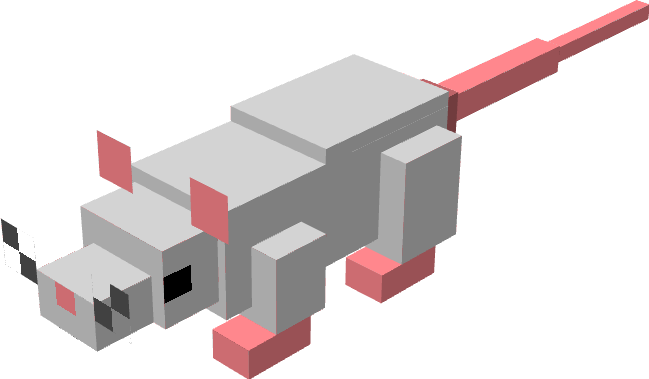 Rat | CoTG SMP Wiki | Fandom
