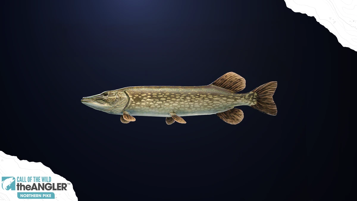 Pike, Northern | Call of the Wild: The Angler Wiki | Fandom