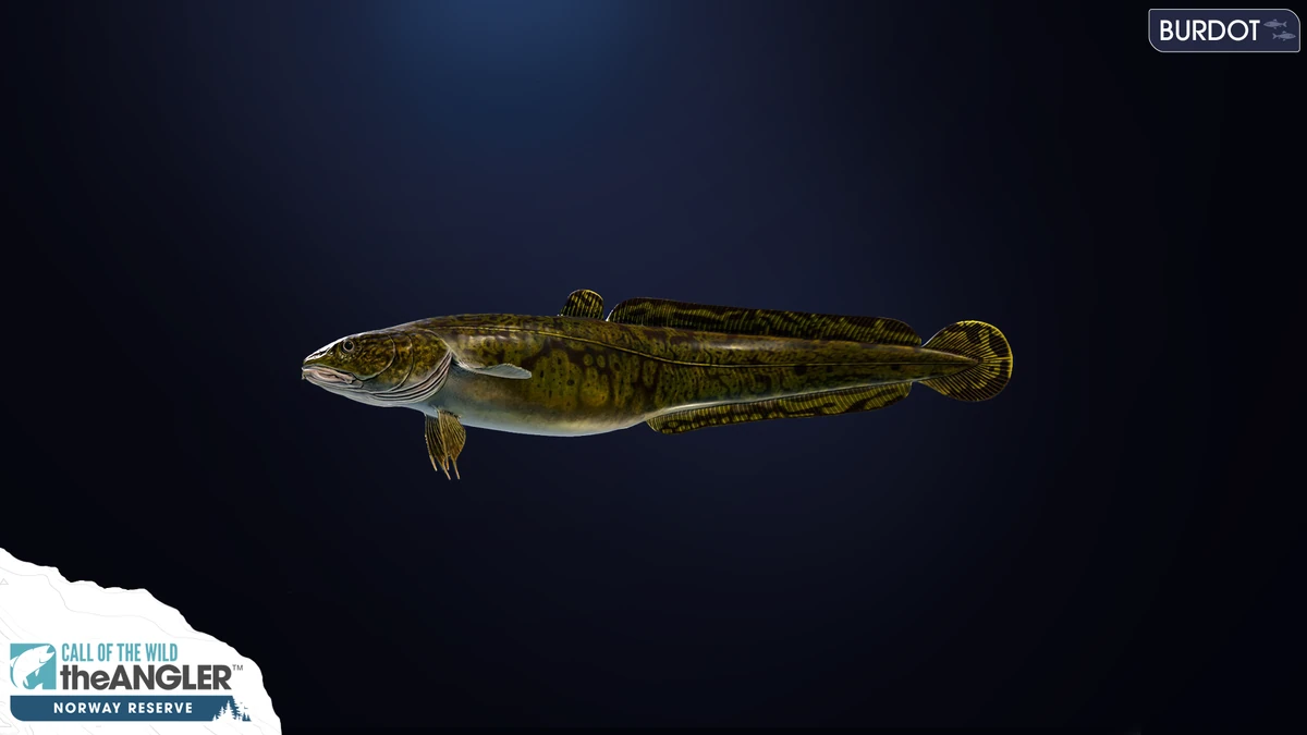 Burbot | Call of the Wild: The Angler Wiki | Fandom