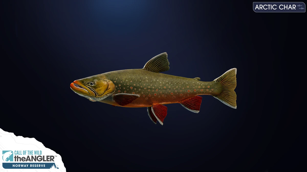 Char, Arctic | Call of the Wild: The Angler Wiki | Fandom