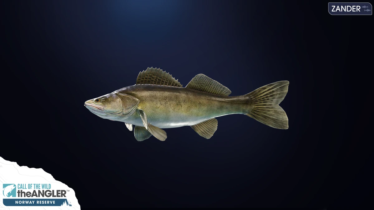 Zander | Call of the Wild: The Angler Wiki | Fandom