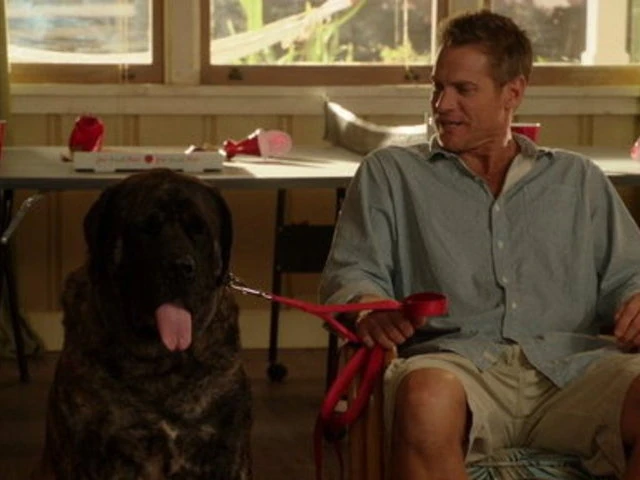 Dog Travis | Cougar Town Wiki | Fandom