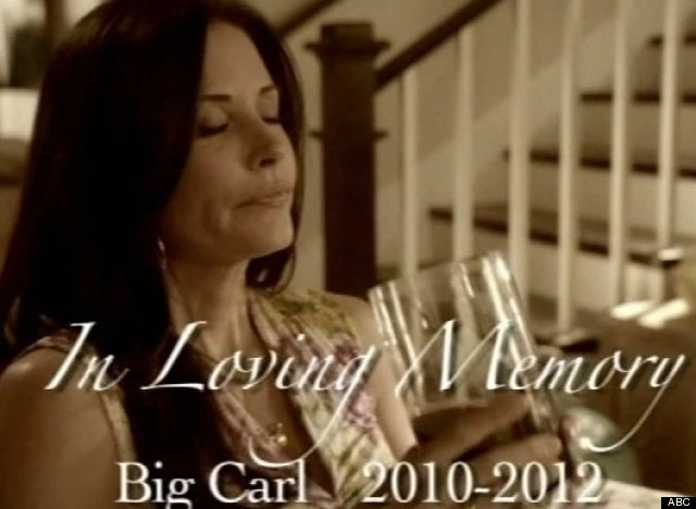 Big Carl | Cougar Town Wiki | Fandom