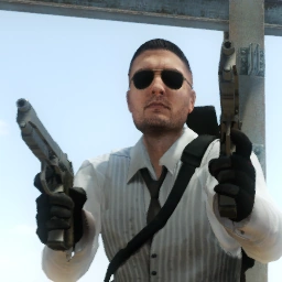 Professional | Counter Strike: Global Offensive Wiki | Fandom