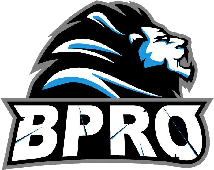 BPro Gaming | Counter Strike: Global Offensive Wiki | Fandom