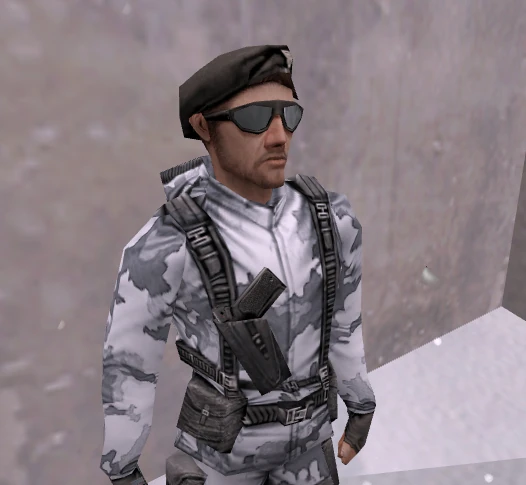 Arctic Avengers | Counter-Strike Wiki | Fandom