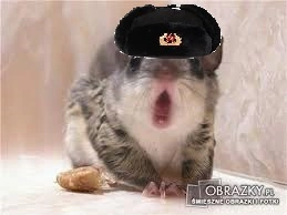 Jan Chomik | Country discord Wiki | Fandom