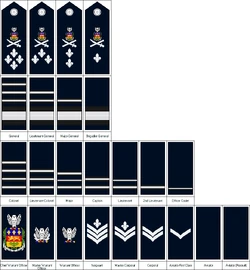 Quebec Armed Forces ranks and insignia | Country Creator Wiki | Fandom