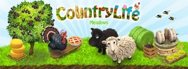 CountryLife | Country Life Game Wiki | Fandom