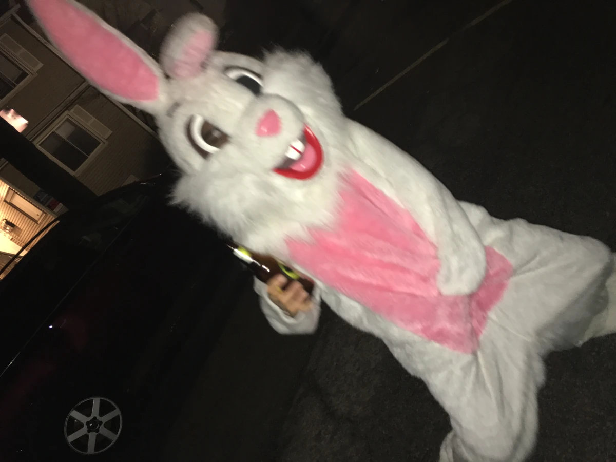 Ronnie the Rabbit | CounttheClock Wiki | Fandom