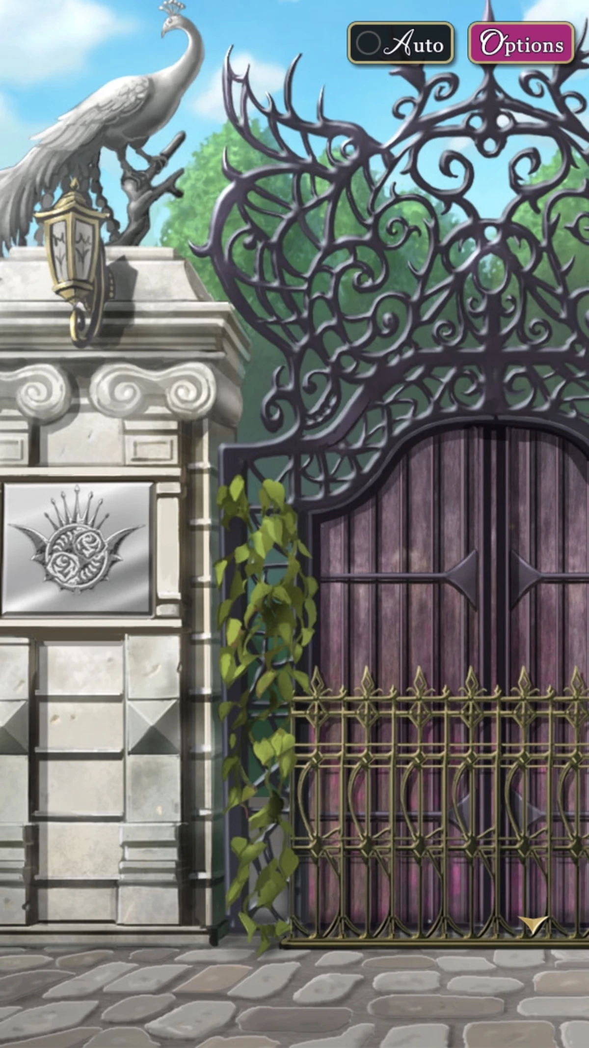 Main Academy Gates | Court of Darkness Wiki | Fandom