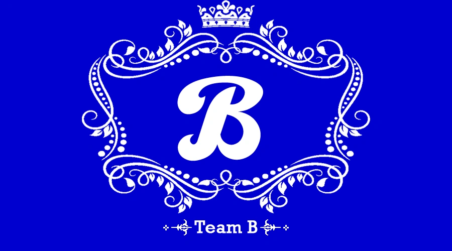 BRS48 Team B | Cover Group Theater Wiki | Fandom