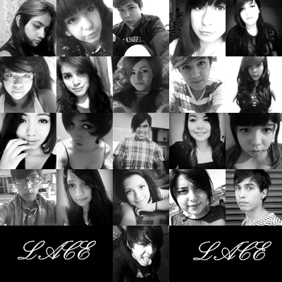 LACE | Wiki Covers | Fandom