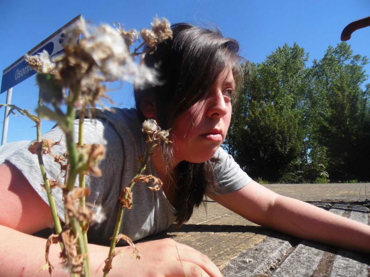 Amaranta | Wiki Covers | Fandom