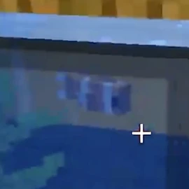 Ploppy | Cow Town Wiki | Fandom