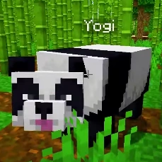 Yogi | Cow Town Wiki | Fandom