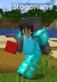 Slogo administration | Cow Town Wiki | Fandom