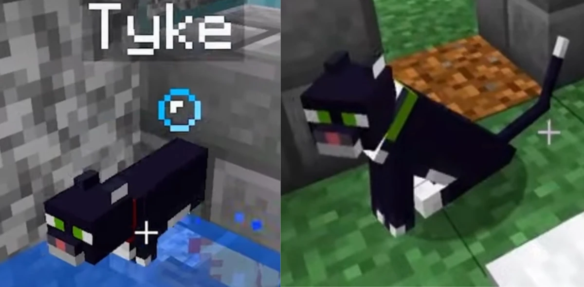 Tyke and Baby Tyke | Cow Town Wiki | Fandom