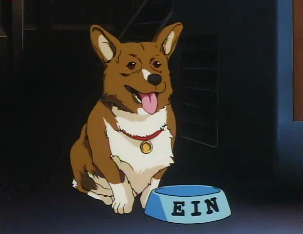 Ein | Wiki Cowboy Bebop | Fandom