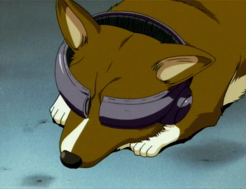 Brain Dream | Cowboy Bebop Wiki | Fandom