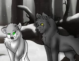 Luna | Cow of the Wild Wiki | Fandom