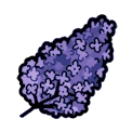 Purple Lilac (Camp Spirit) | Cozy Grove Wiki | Fandom